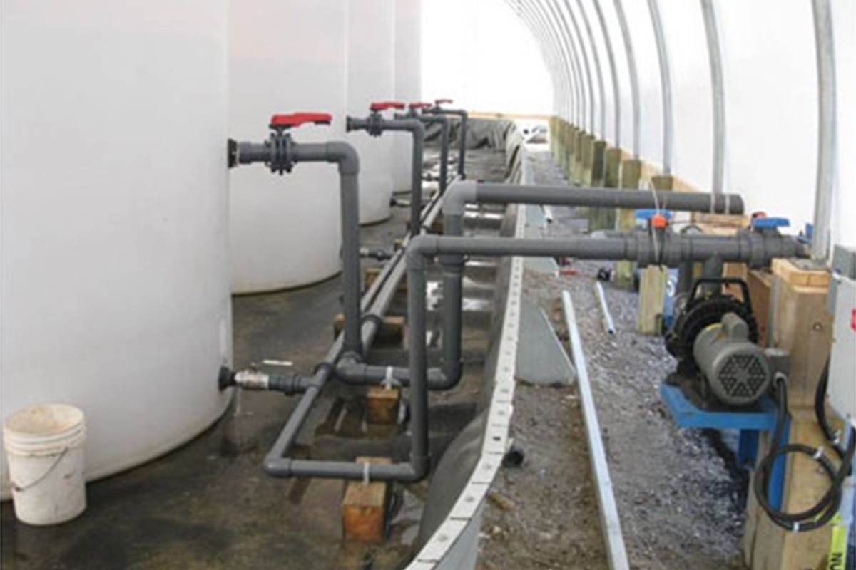 Water Tank Variations & Applications | Contain Water Systems